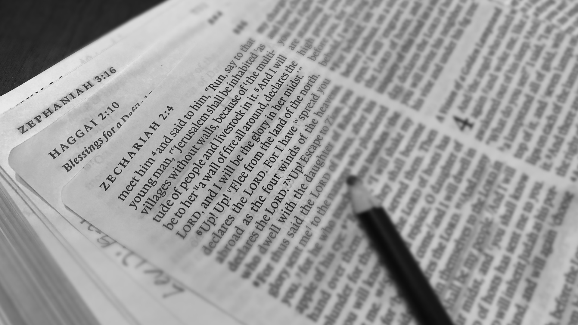 THE TWELVE – The 12 Journey